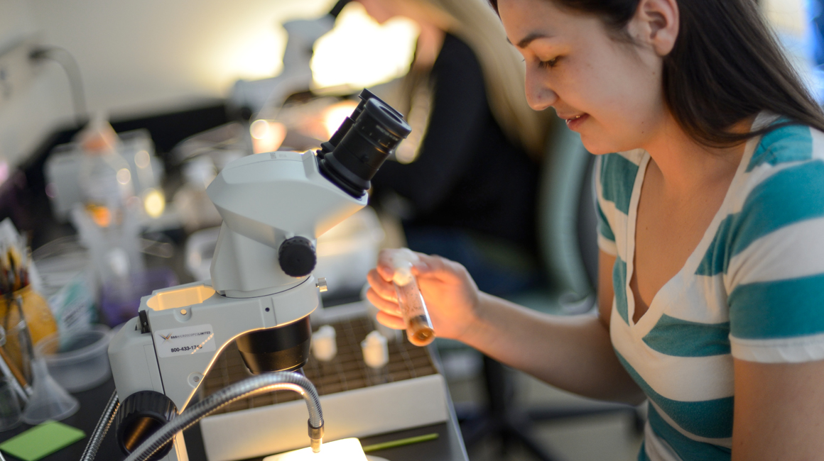 Biochemistry Major (BS) | Widener University