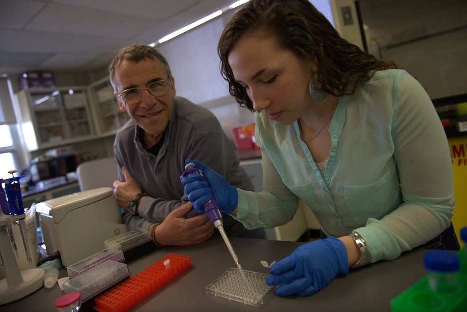 Sciences Summer Research Preview | Widener University