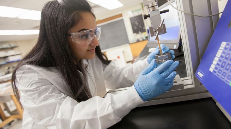 Biomedical Engineering Major (BS) Degree | Widener University