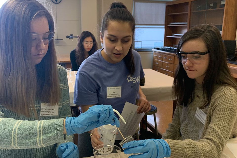 Engineering Mini-Camp for High School Girls | Widener University